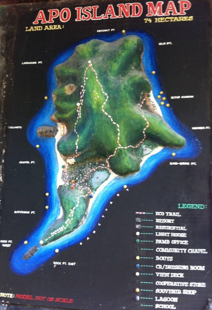 Apo island : l'île de rêve qui vous ramène en enfance...